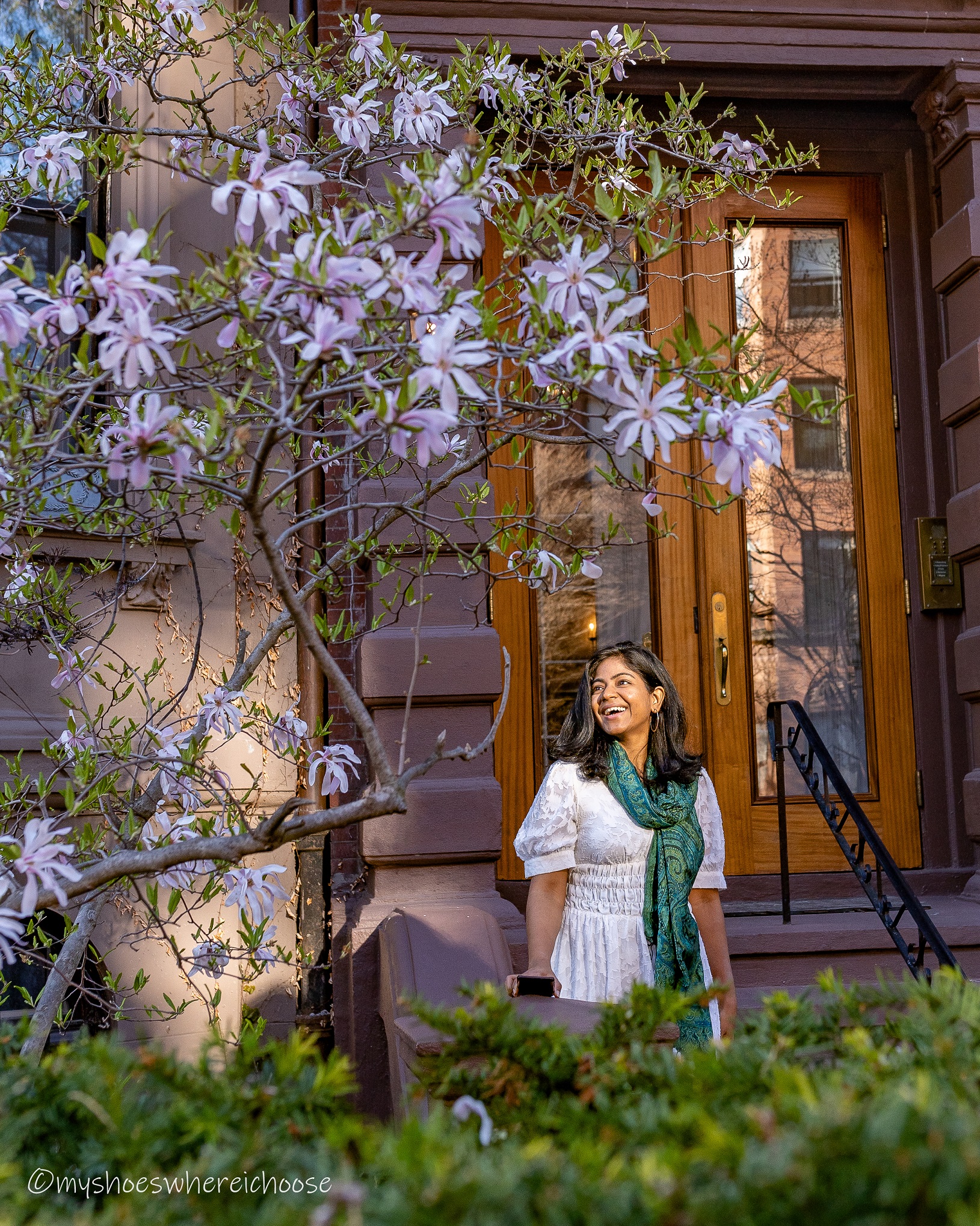 5 Places for Magnolia and Cherry Blossoms in Boston | My Shoes Where I ...
