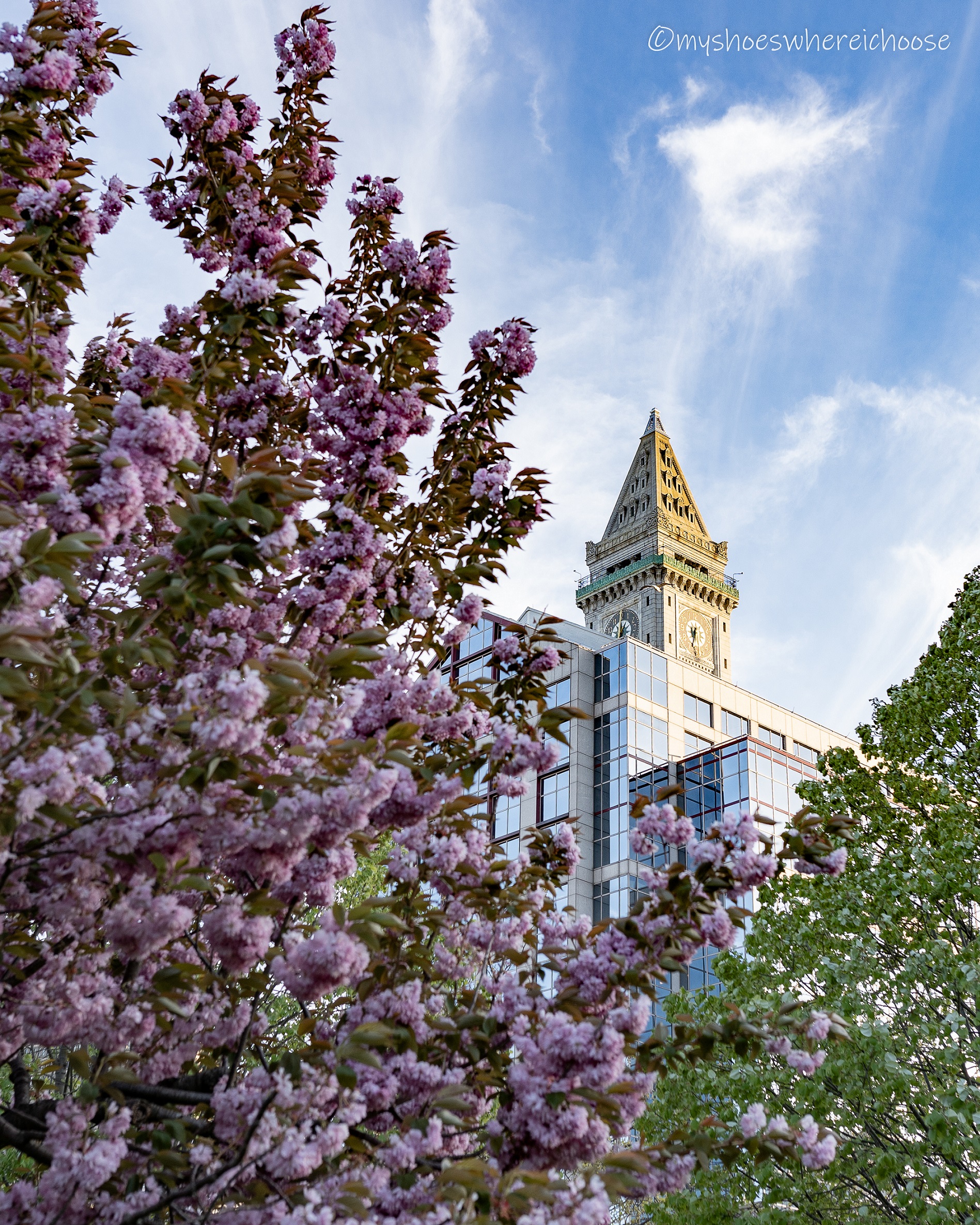 Spring in Boston - Guide to the Most Beautiful Blooms | My Shoes Where ...