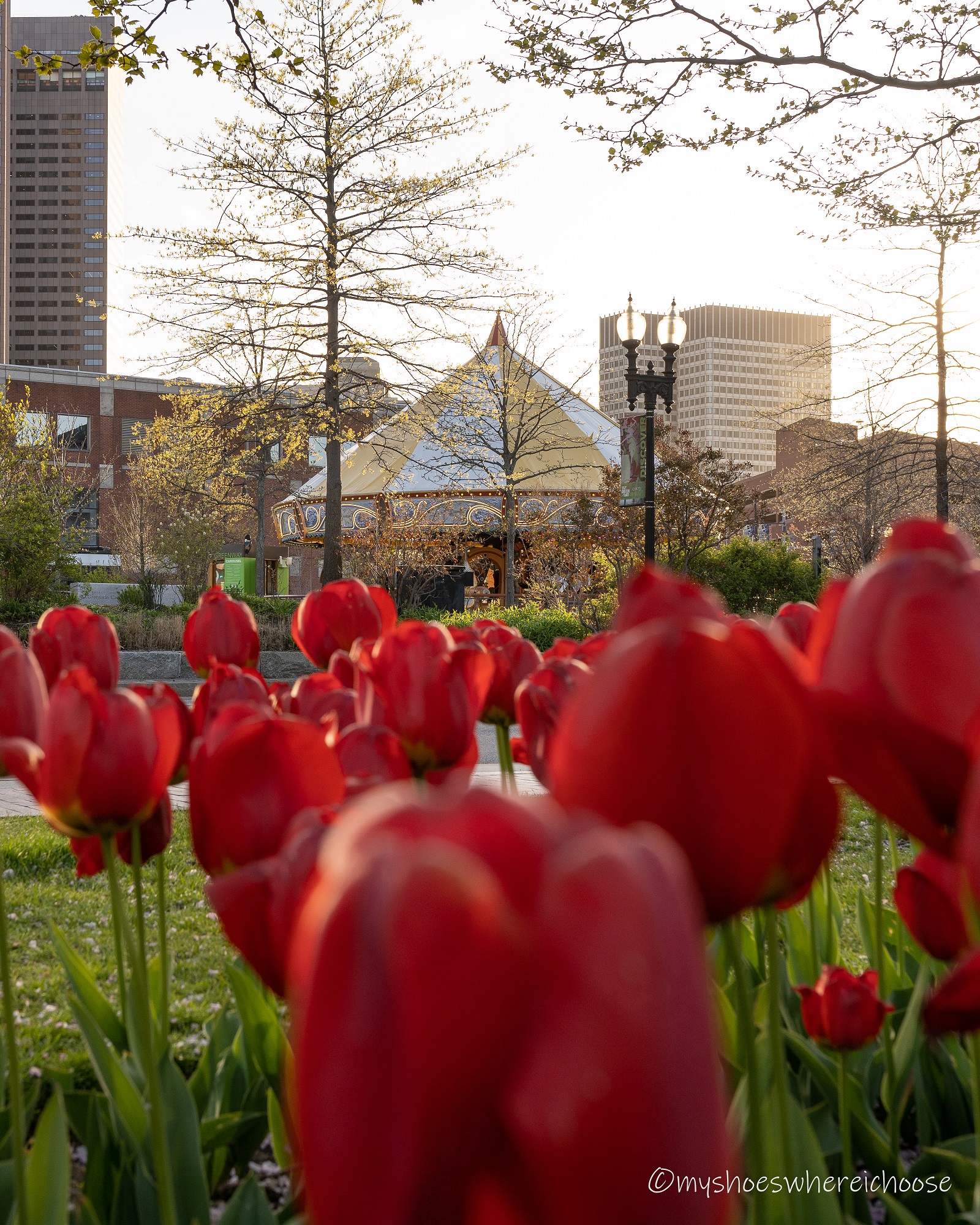 Spring in Boston - Guide to the Most Beautiful Blooms | My Shoes Where ...